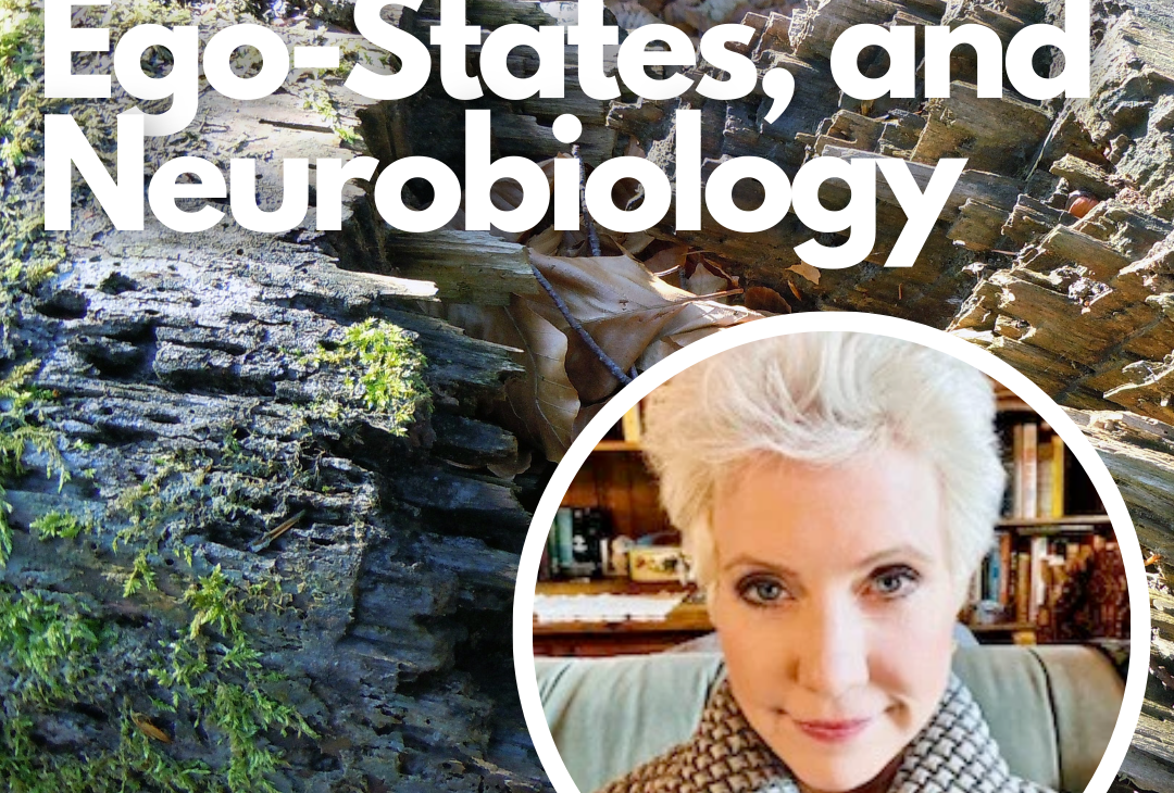 EMDR, Ego-States, and Neurobiology – Interview with Sandra Paulsen ...